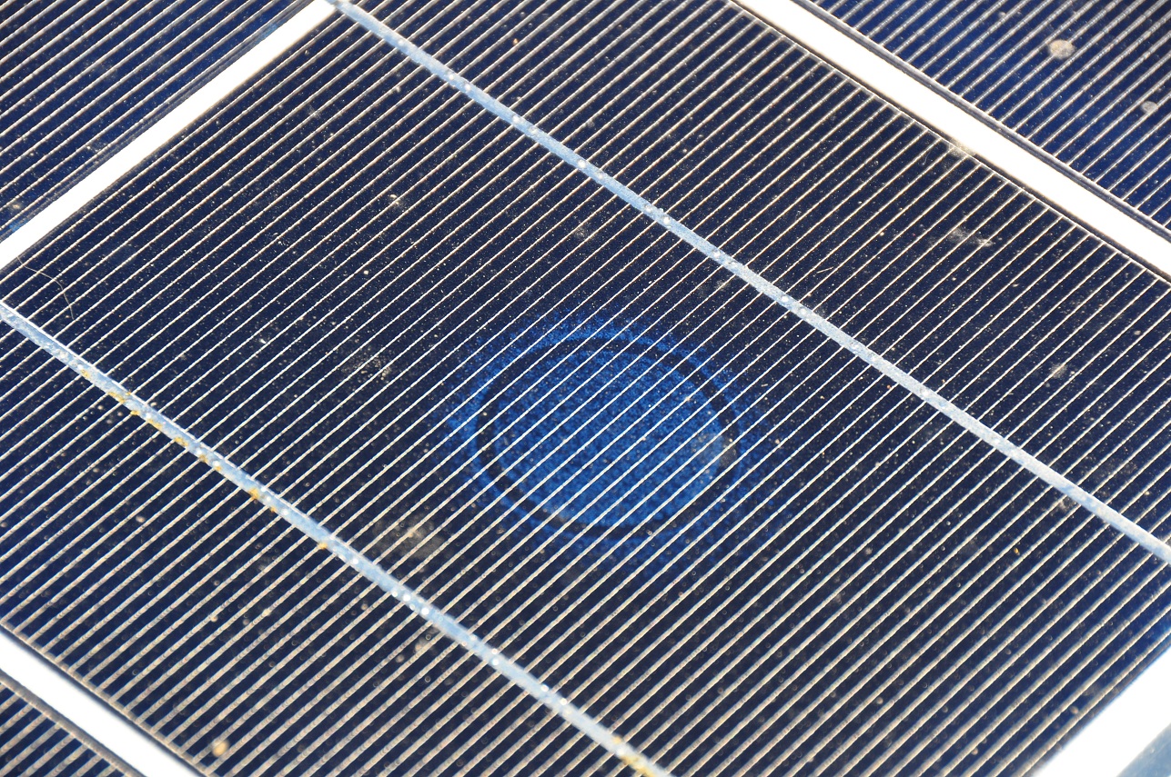 Snail trail contamination of PV panels - Solar PV discussion
