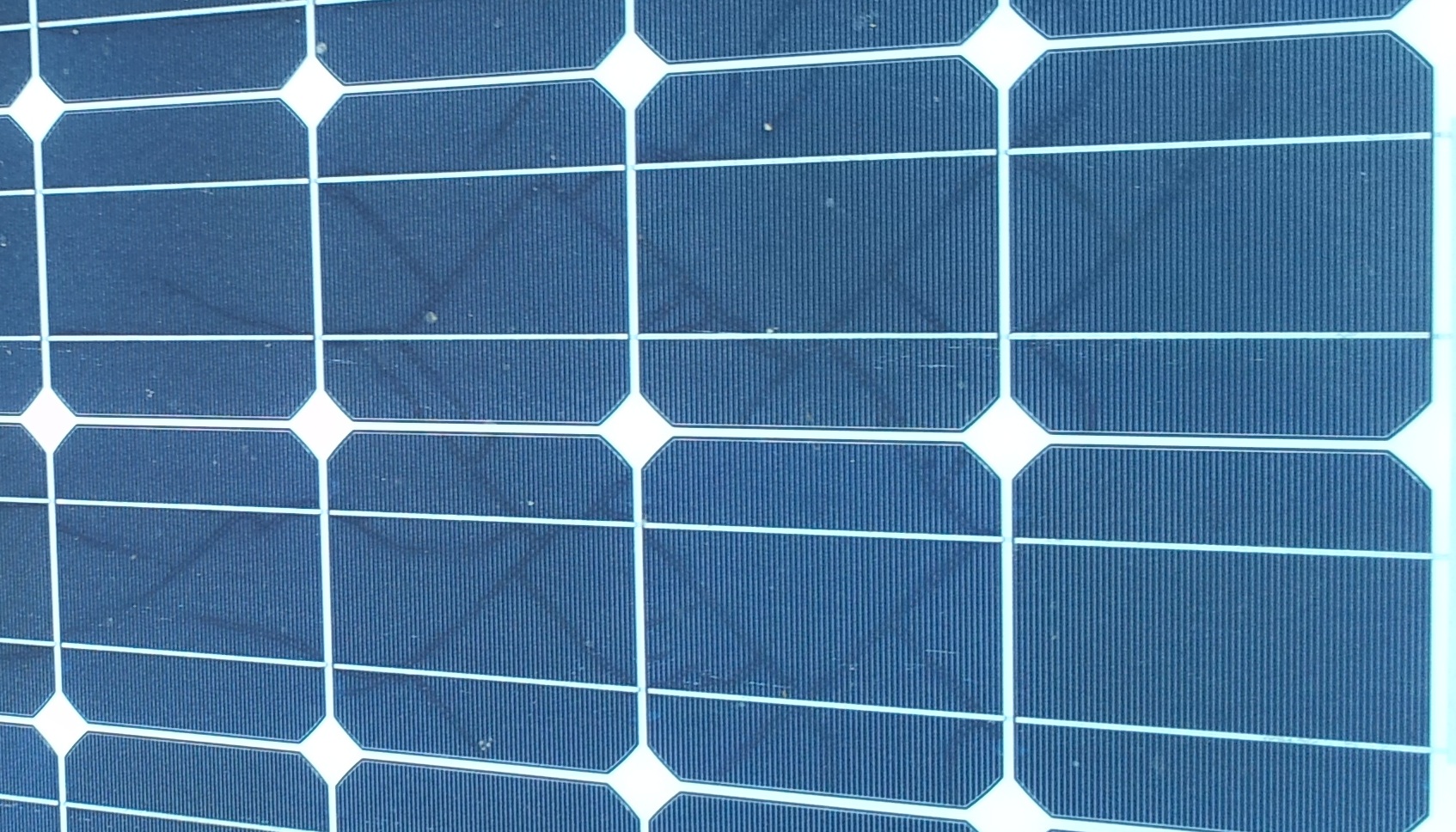 Snail trail contamination of PV panels - Solar PV discussion